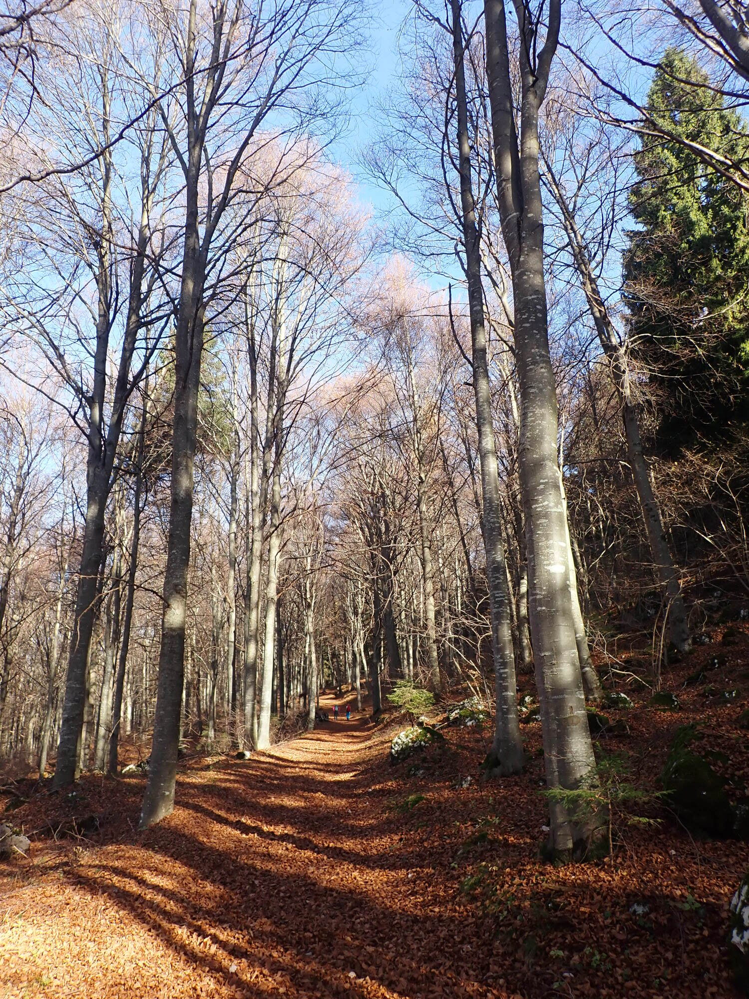 Monte Brento - Snow Power